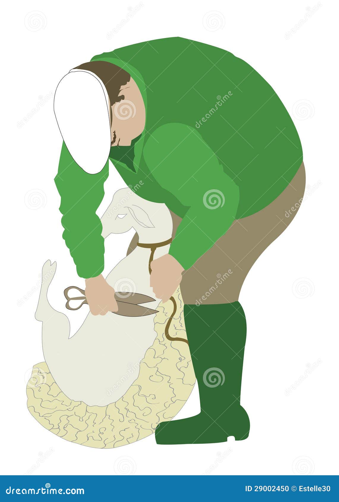 Sheep shearing stock illustration. Illustration of farming - 29002450