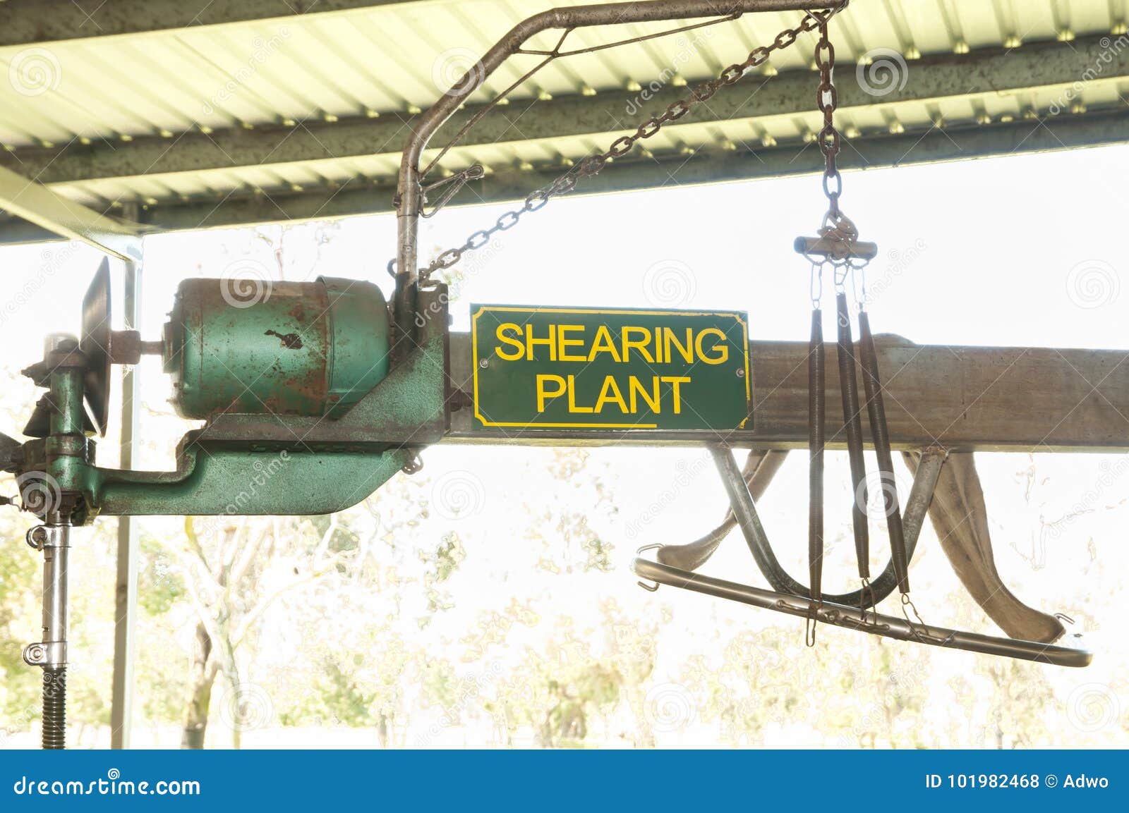 Sheep Shearing Plant stock photo. Image of white, tool - 101982468