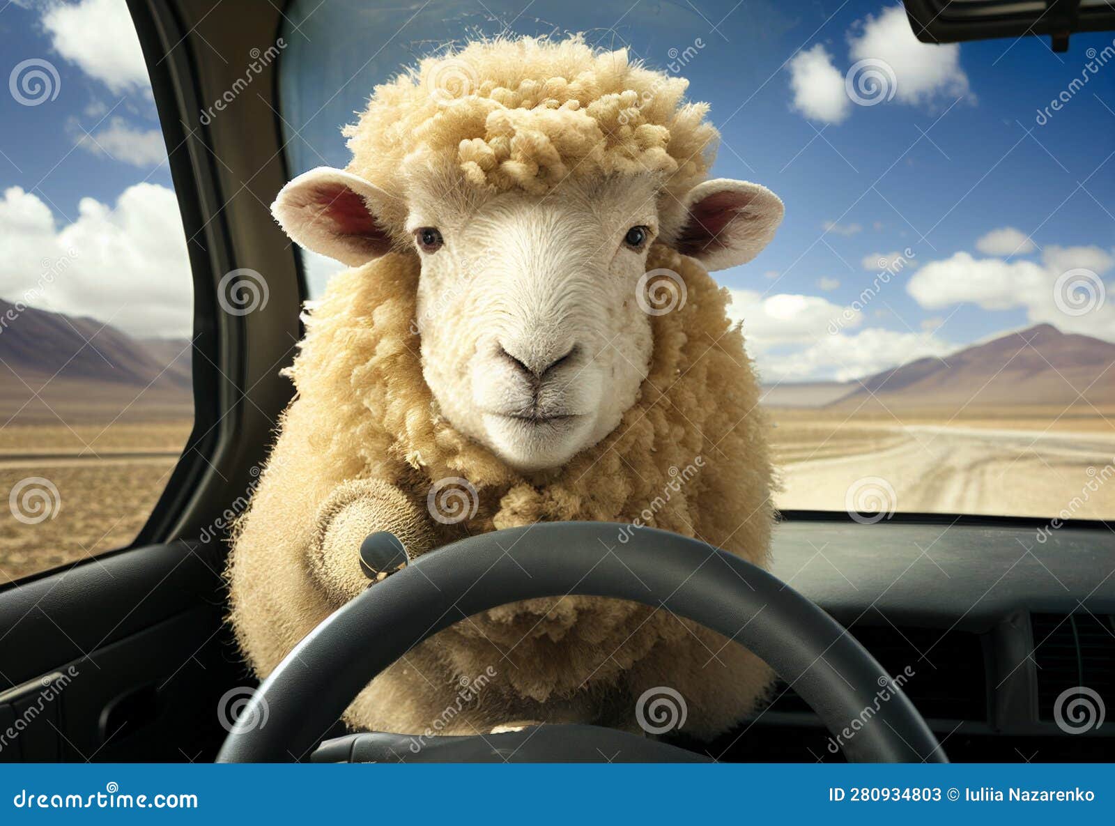 Sheep Sitting Behind the Wheel of a Car. AI Generated Stock Image ...
