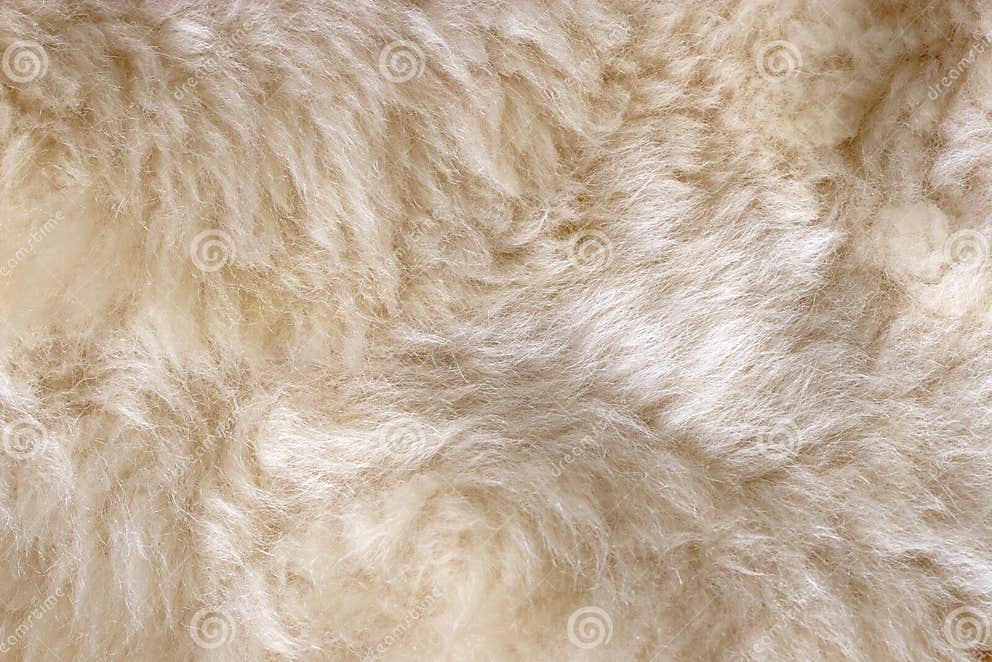 Sheep skin stock image. Image of pelt, detail, skin, coat - 3281739