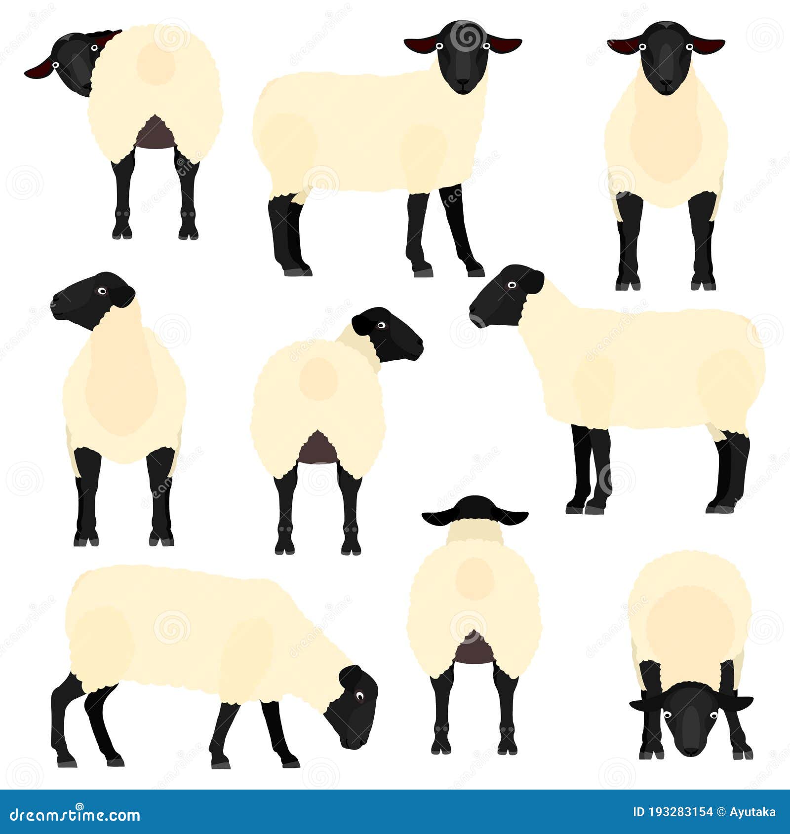 Sheep various pose set stock vector. Illustration of background - 193283154
