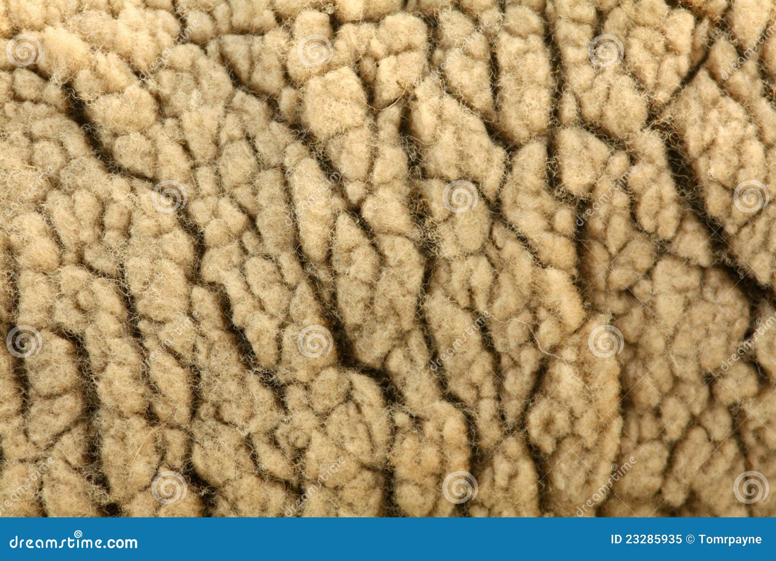 Sheep Wool stock image. Image of soft, white, warm, sheepskin - 23285935