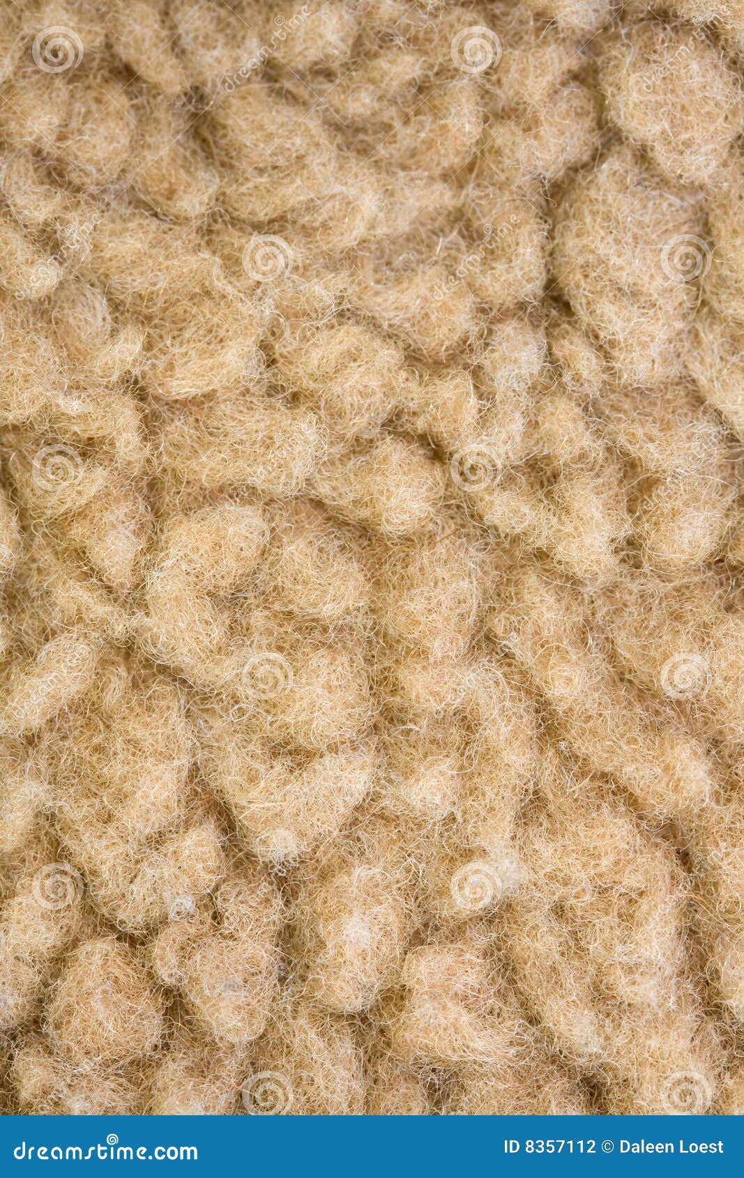 Sheep Wool Skin Soft Texture Royalty-Free Stock Image | CartoonDealer ...