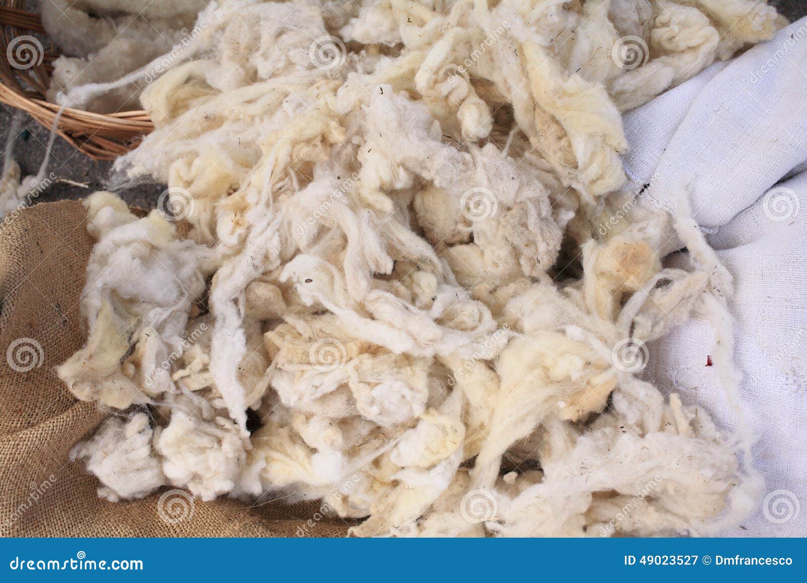 Sheep wool stock image. Image of knit, cloth, detail - 49023527
