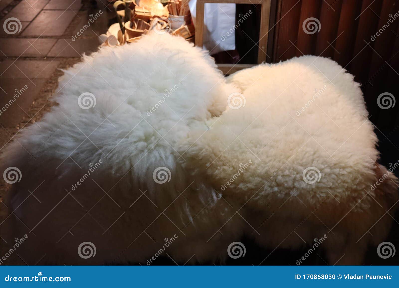 Sheep wool hide stock photo. Image of objects, street - 170868030