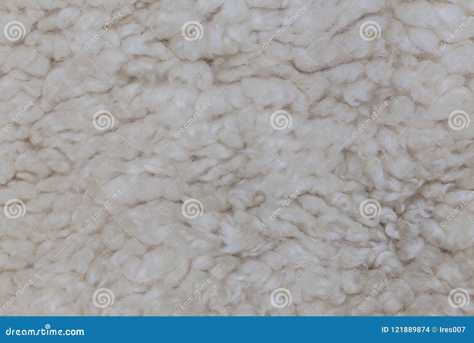 Sheep wool texture stock photo. Image of abstract, fleece - 121889874