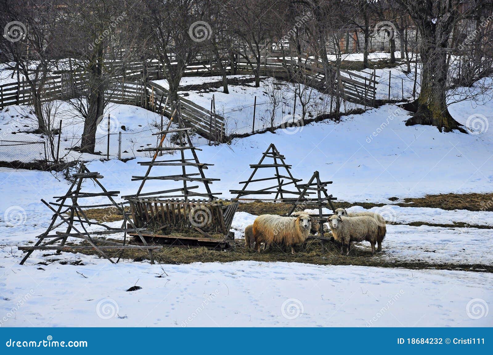 Sheepfold stock photo. Image of land, grass, hill, feed - 18684232