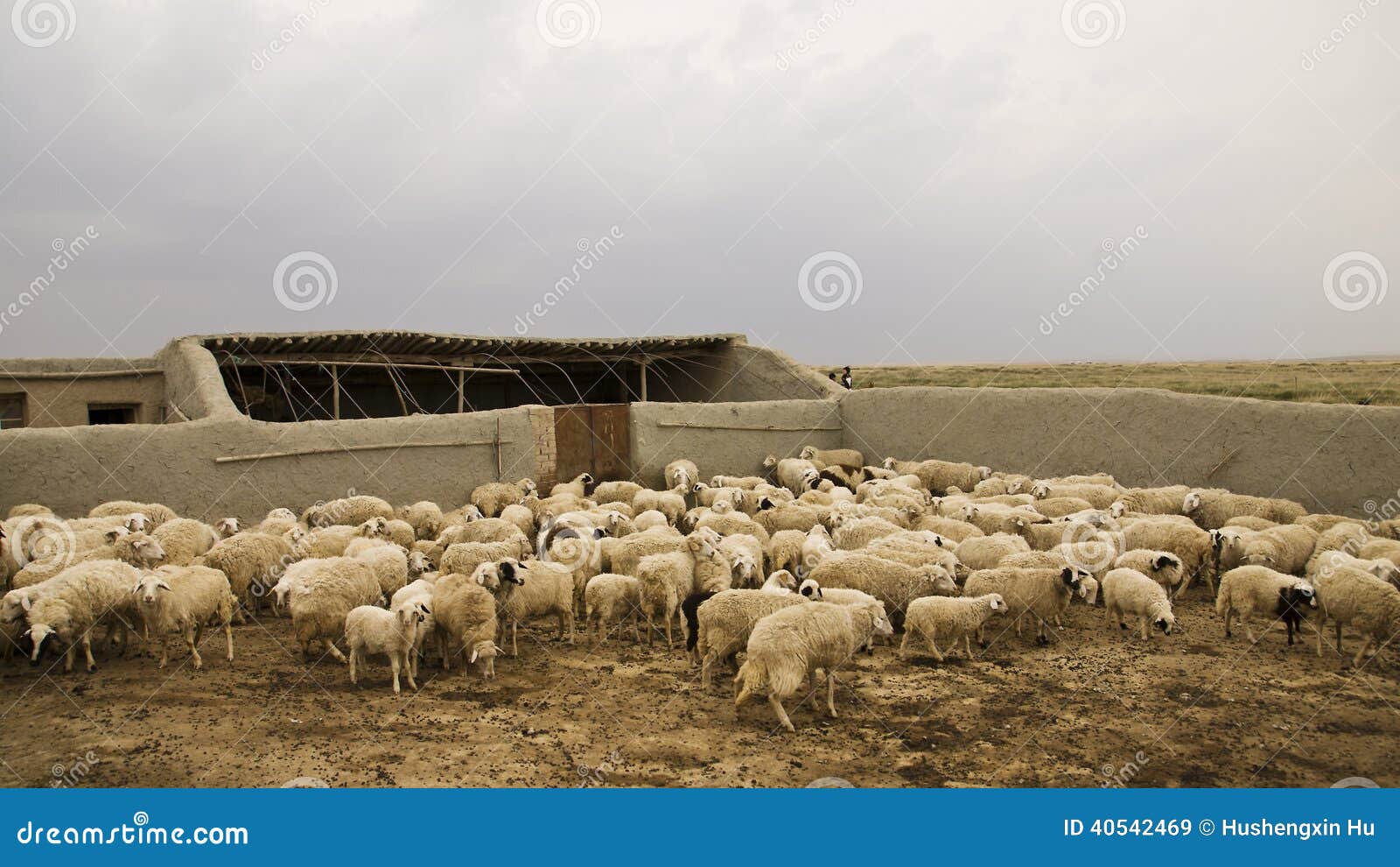 The sheepfold editorial stock image. Image of horizontal - 40542469