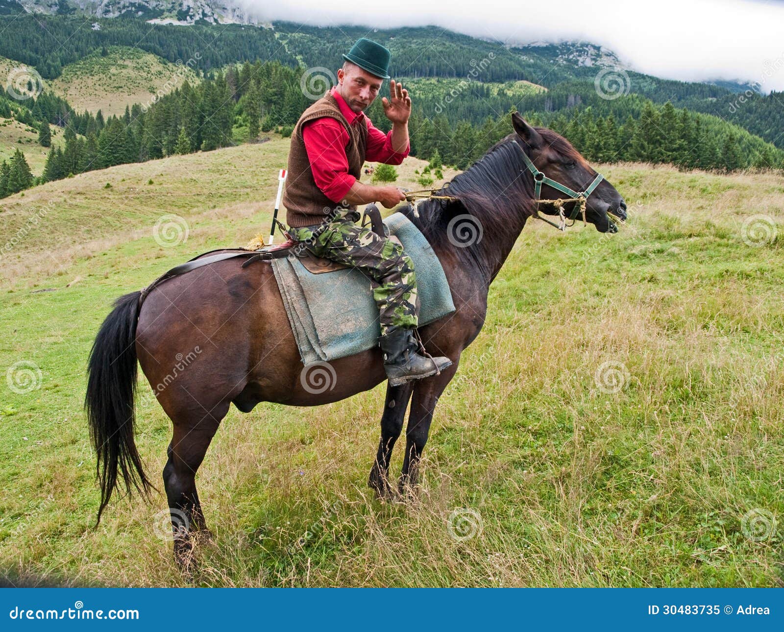 Sheepman redactionele afbeelding. Image of heuvel, baard - 30483735