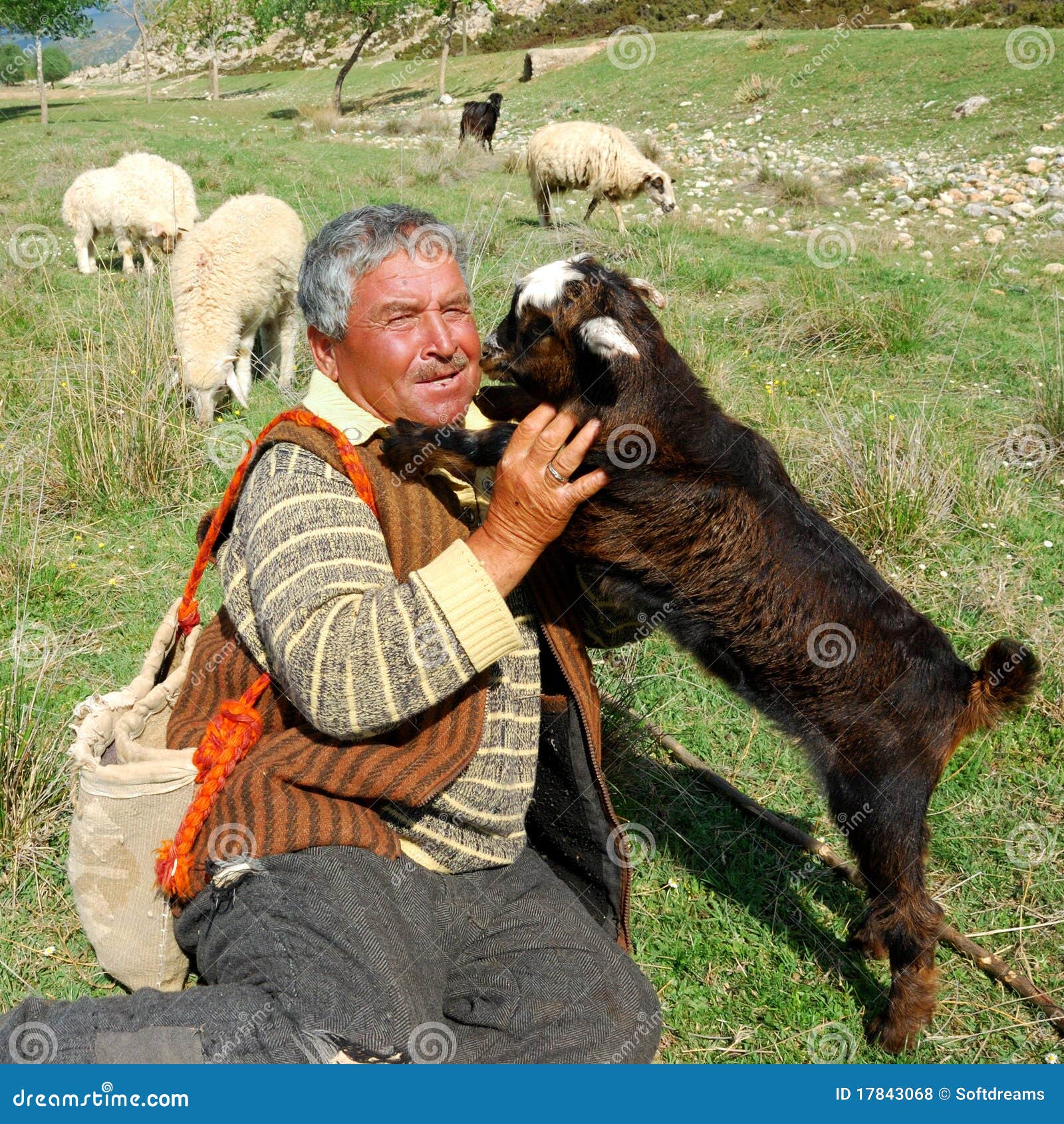 Sheepman And Sheep Editorial Photo | CartoonDealer.com #17842415