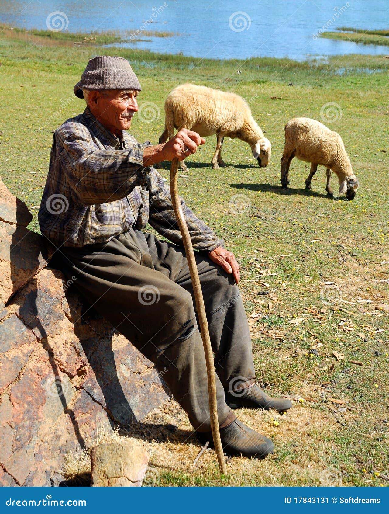Sheepman and sheep editorial photo. Image of culture - 17843131