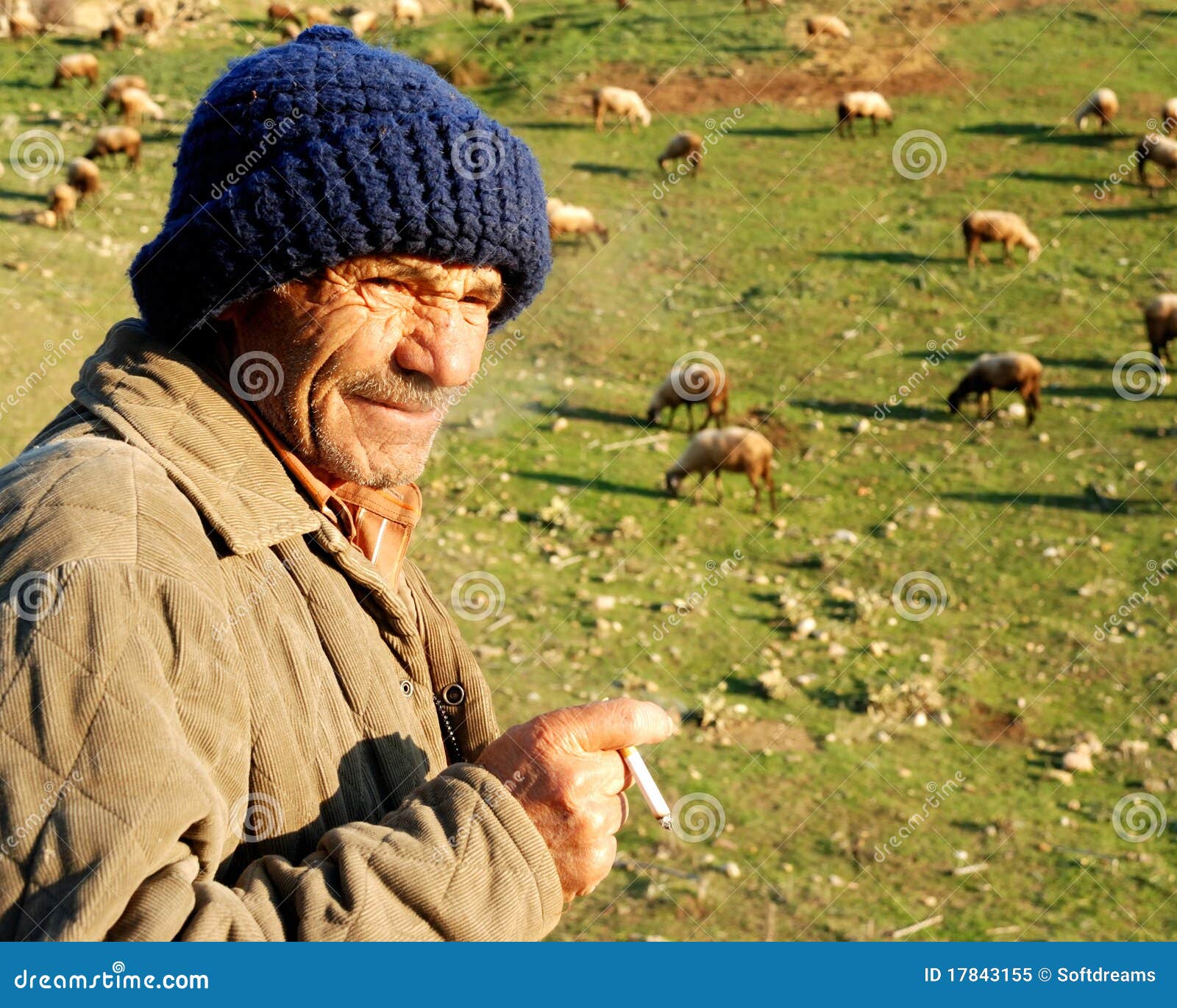 Sheepman And Sheep Editorial Photo | CartoonDealer.com #17842415