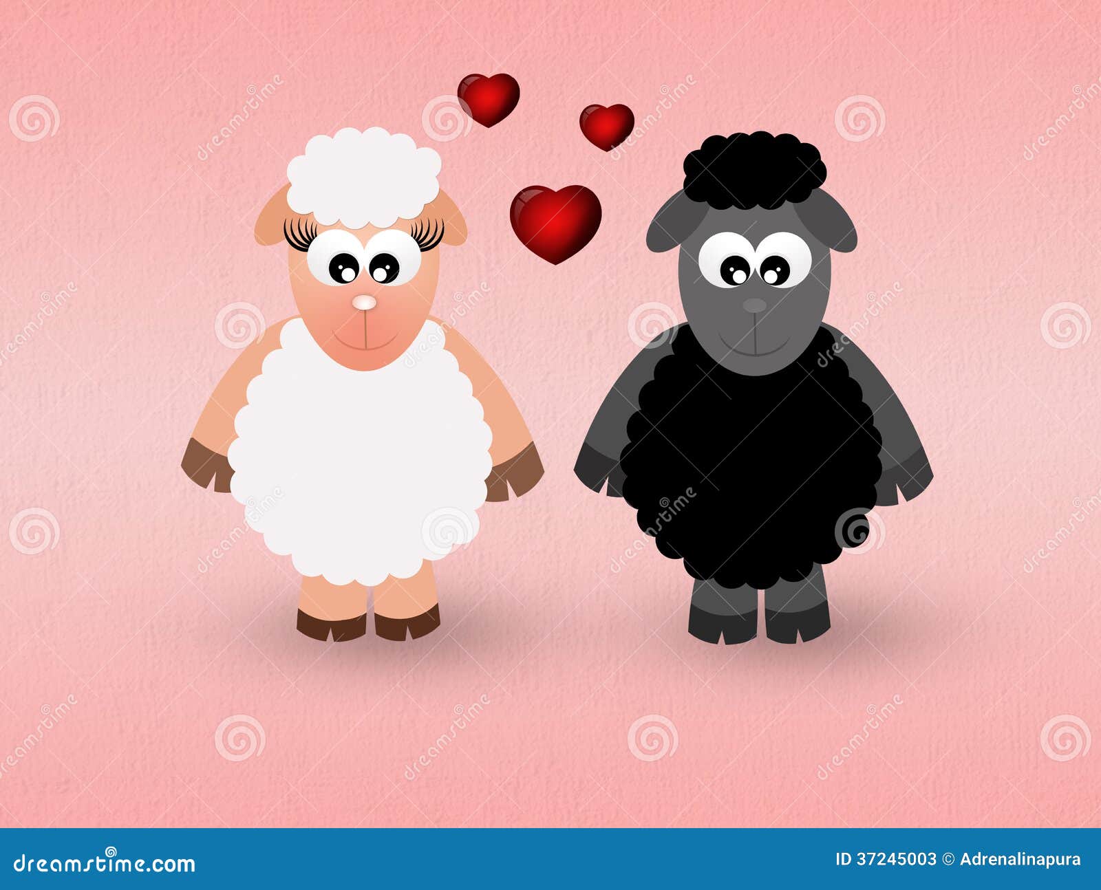 Sheeps in love stock illustration. Illustration of veil - 37245003