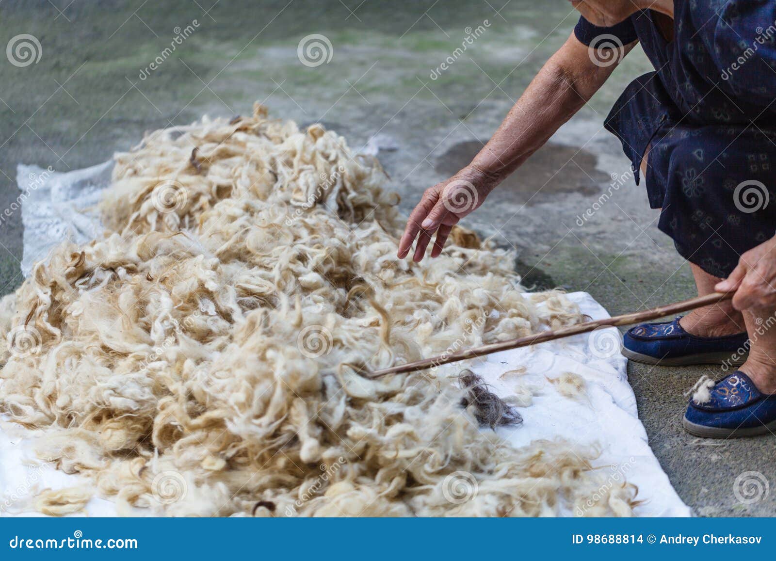 Sheeps Processing of Sheep`s Wool Traditional Stock Photo - Image of ...