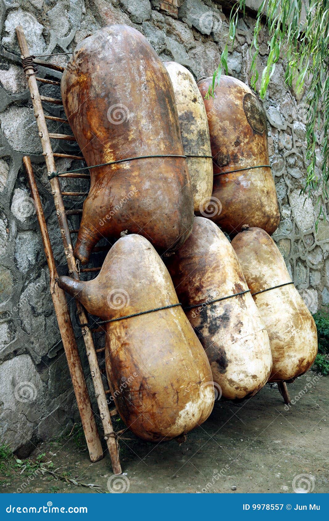 Sheepskin boat stock image. Image of chinese, boat, sheepskin - 9978557