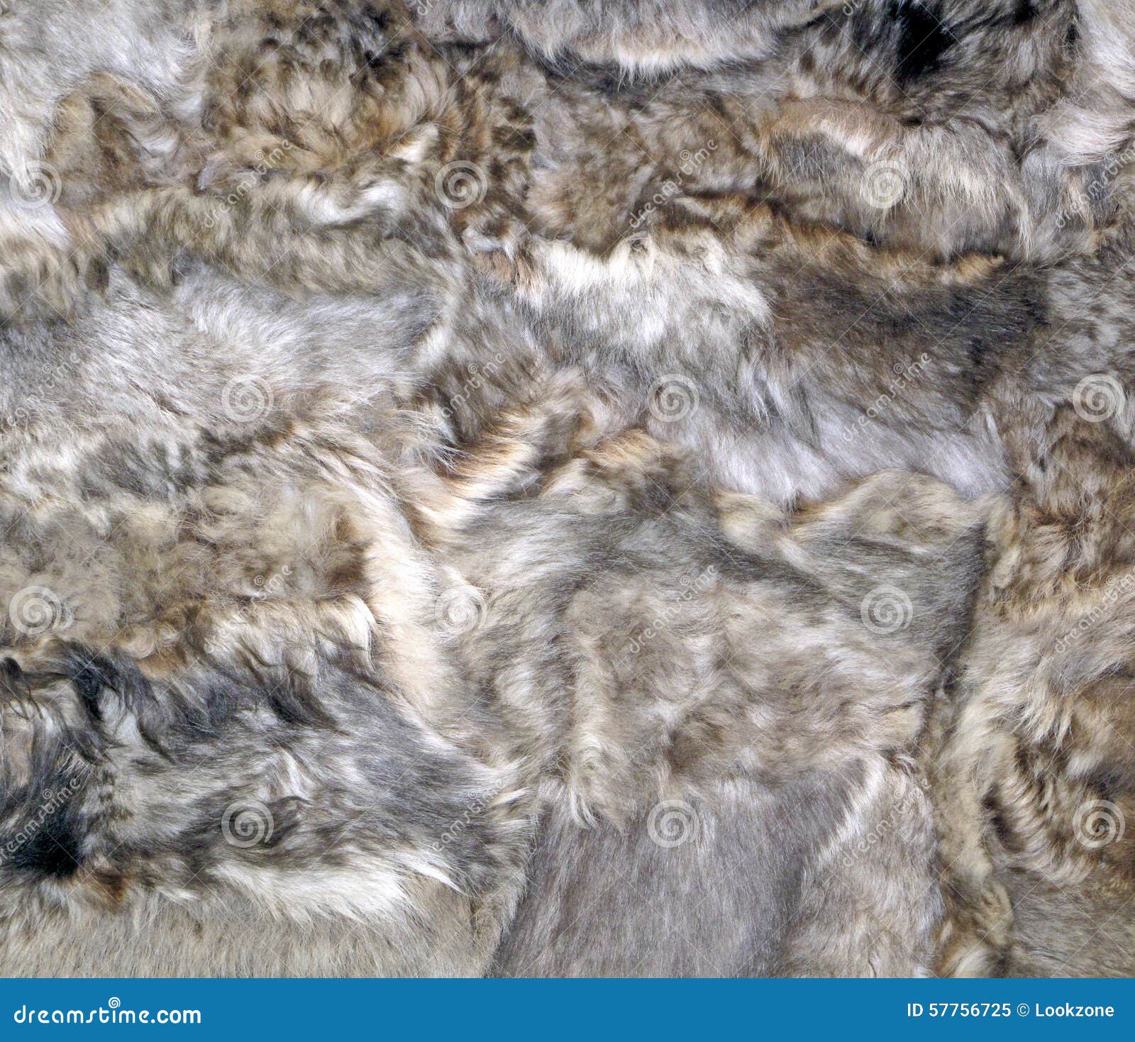 Sheepskin Patchwork. stock image. Image of furry, animals - 57756725