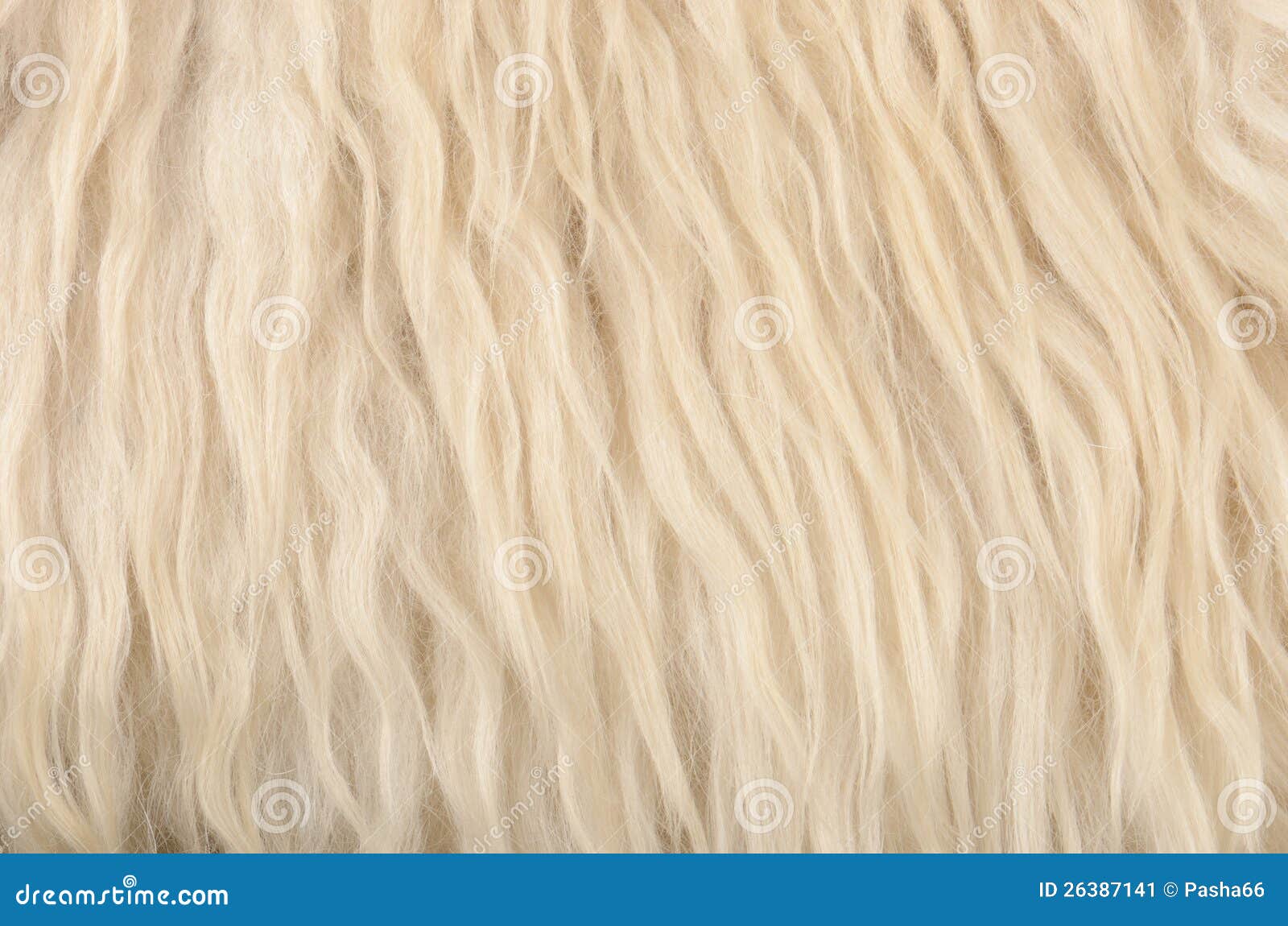 Sheepskin Texture Background Stock Image - Image of texture, sheep ...