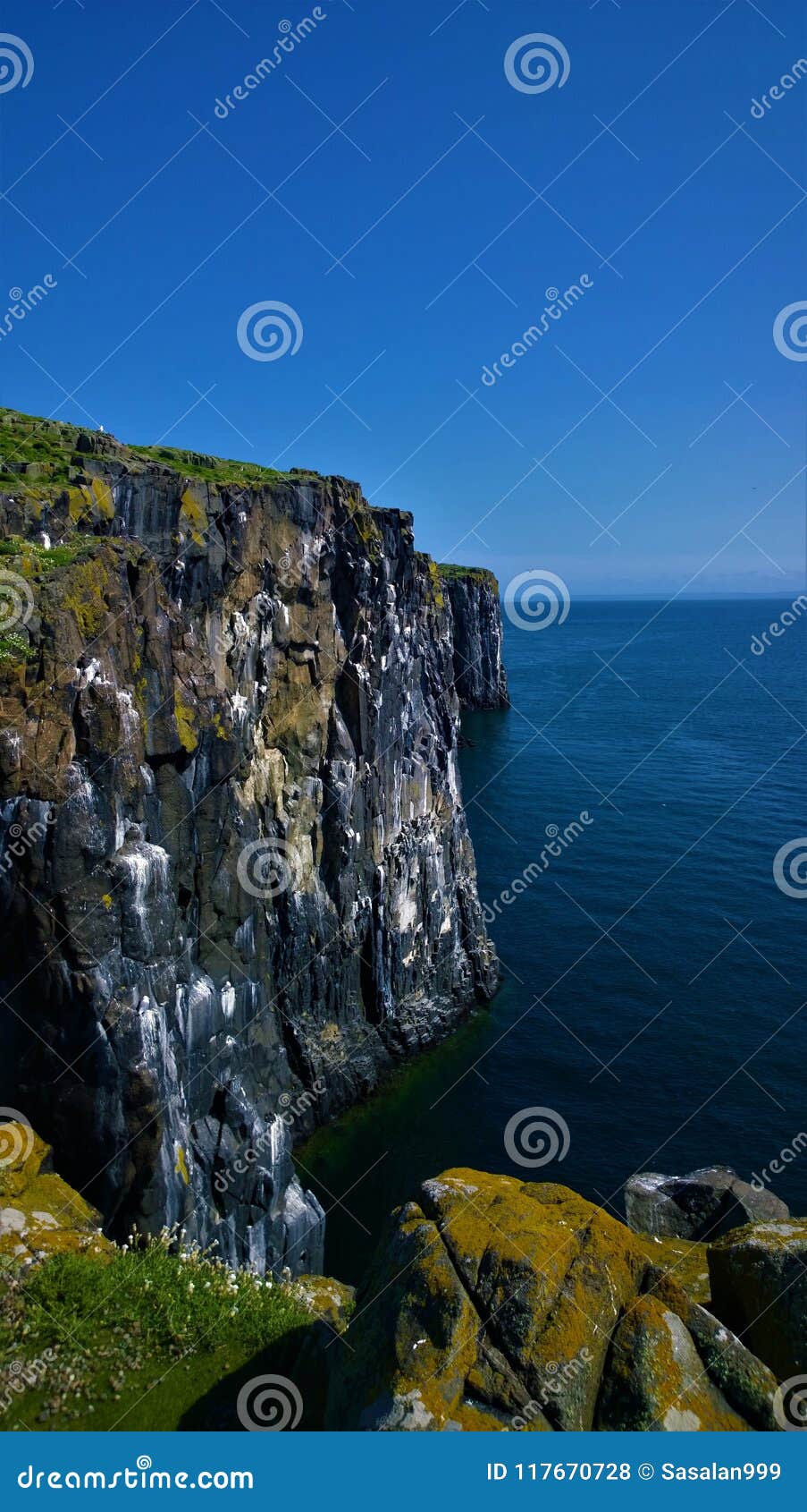 Sheer Cliffs at Isle of May, Scotland Stock Photo - Image of birds ...