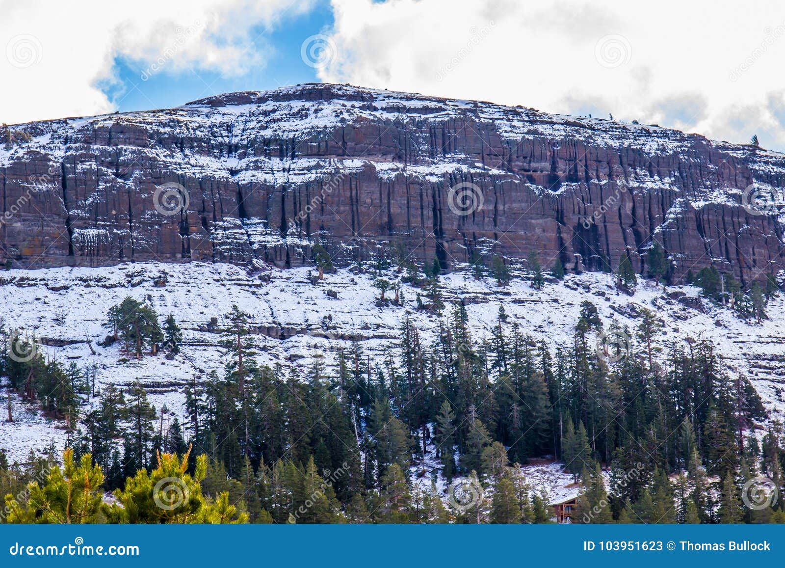 Sheer Cliffs with Snow in Winter Stock Image - Image of trees, sheer ...