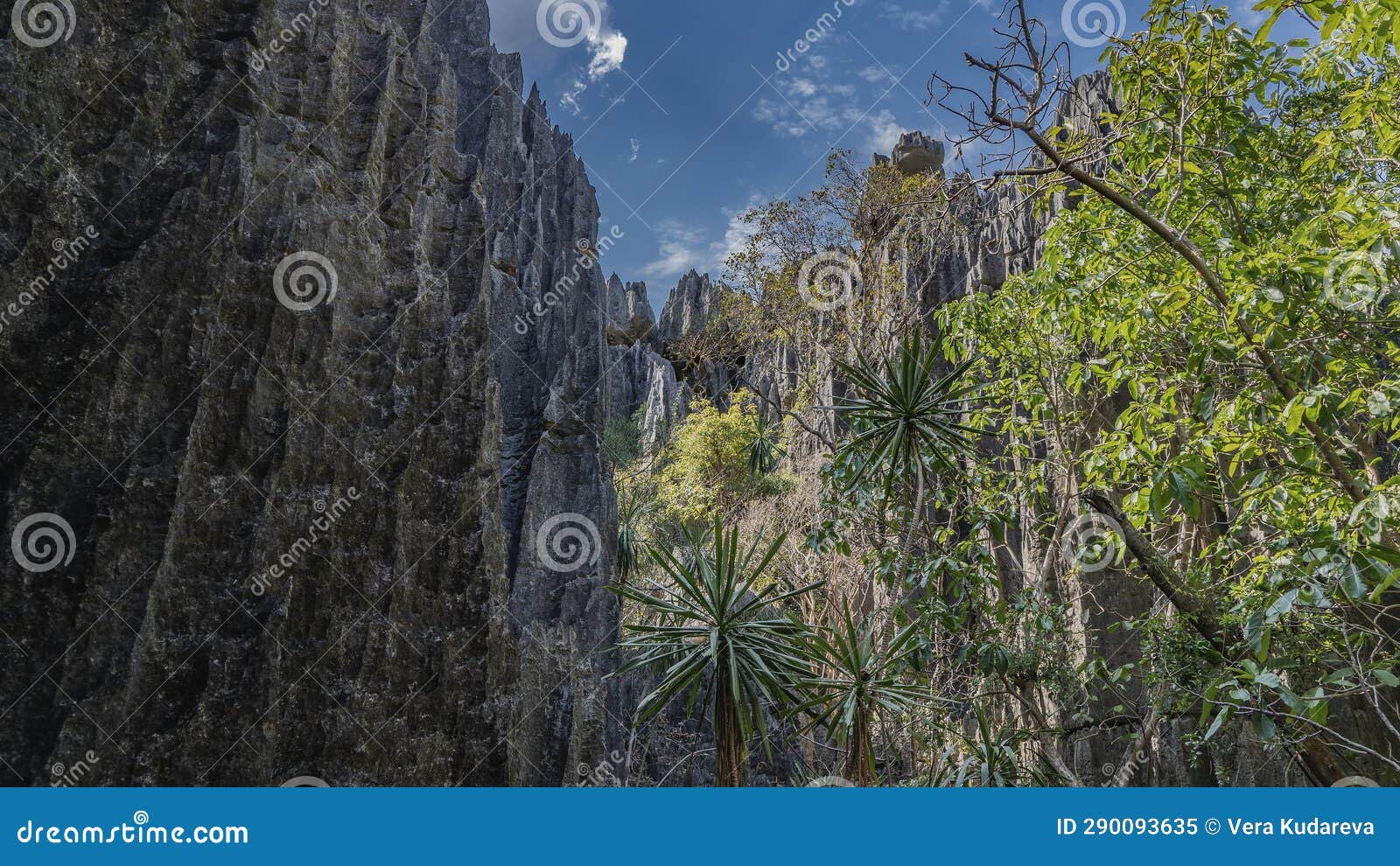 Sheer Grey Limestone Cliffs of Tsingy De Bemaraha. Stock Image - Image ...