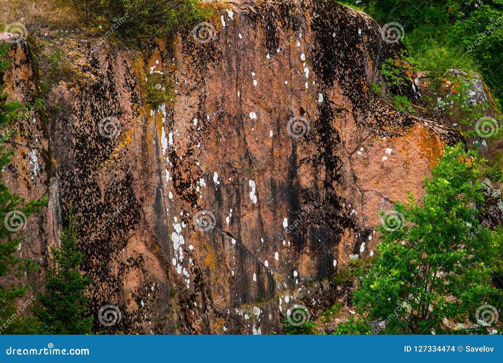 Sheer Rock Covered with Plants Stock Photo - Image of natural, rock ...
