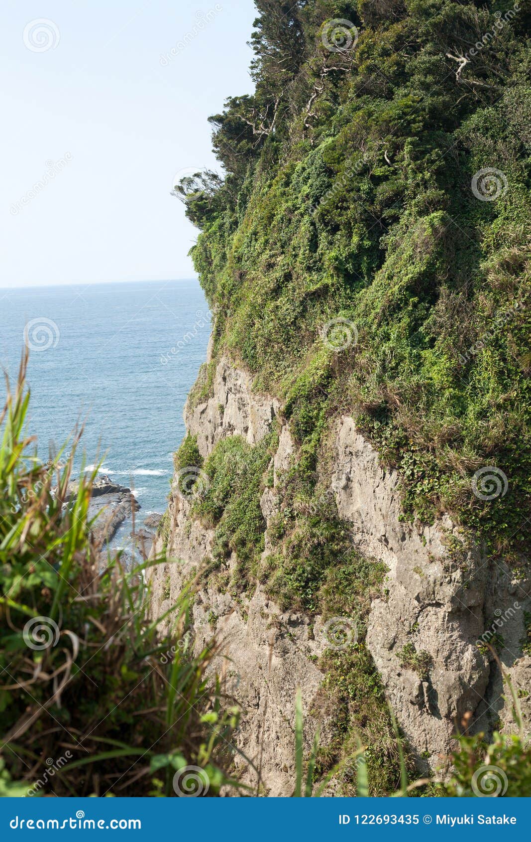 Sheer seas cliff in Japan stock image. Image of kanagawa - 122693435