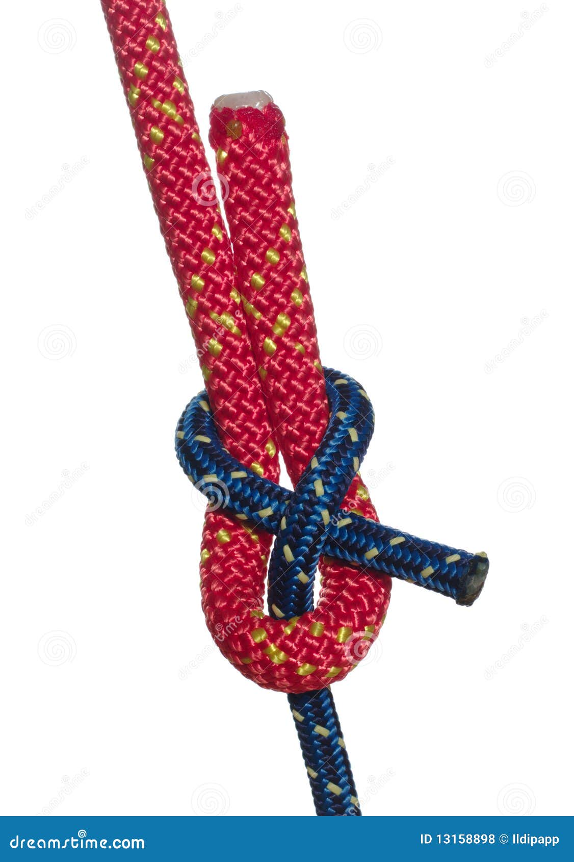 Sheet Bend Knot stock photo. Image of seafaring, knot - 13158898