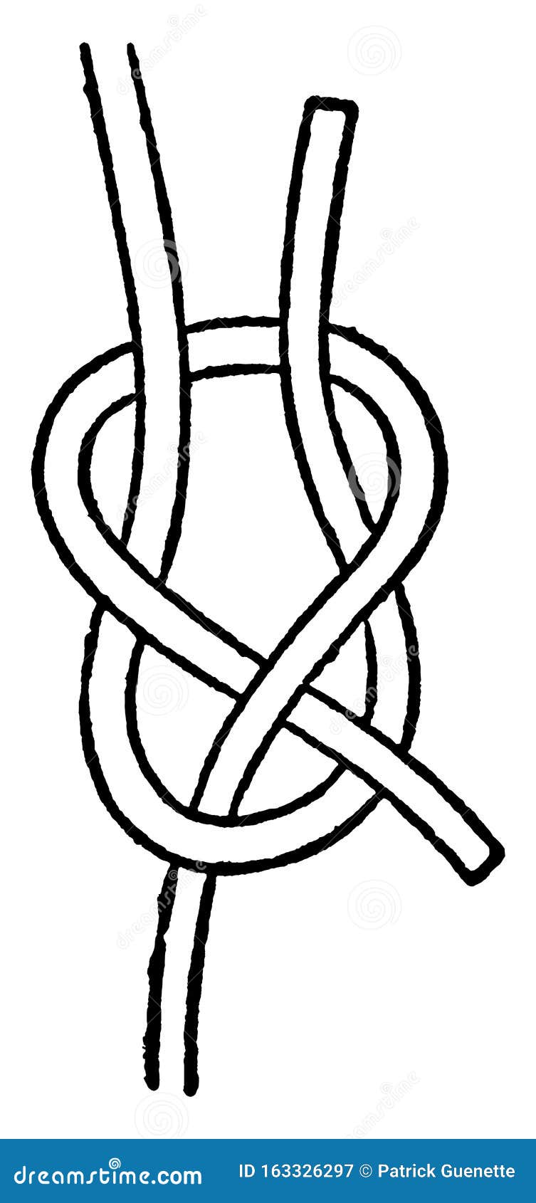Sheet Bend, Vintage Illustration Cartoon Vector | CartoonDealer.com ... Sheet Bend, Vintage Illustration Cartoon Vector | CartoonDealer.com ...