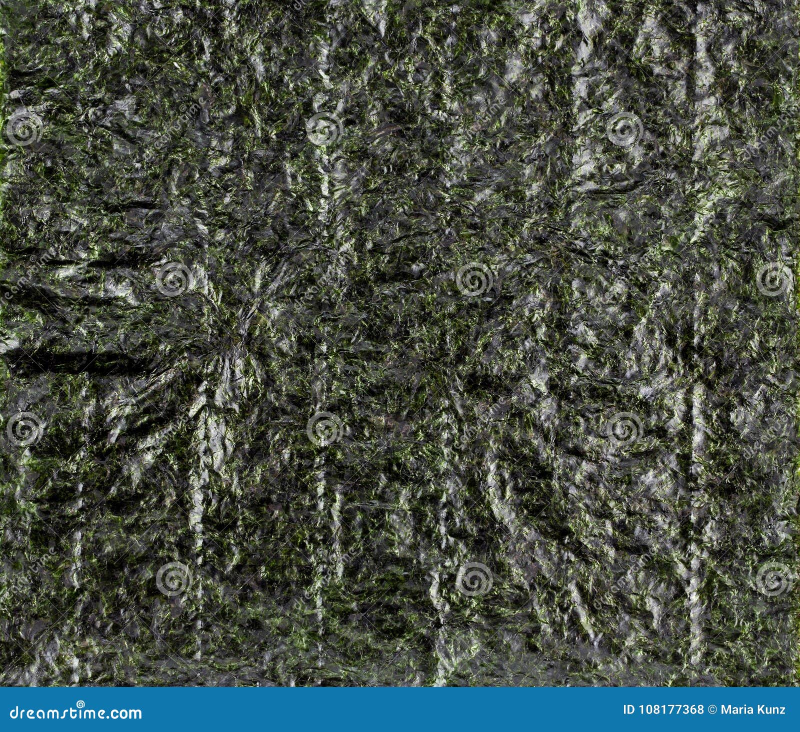 Seaweed Background Texture Royalty-Free Stock Photography ...