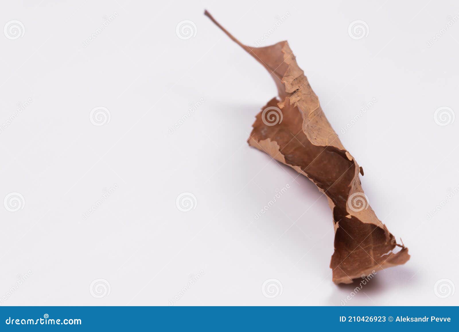 The Sheet is Folded in a Zigzag Pattern in Half Stock Image - Image of ...