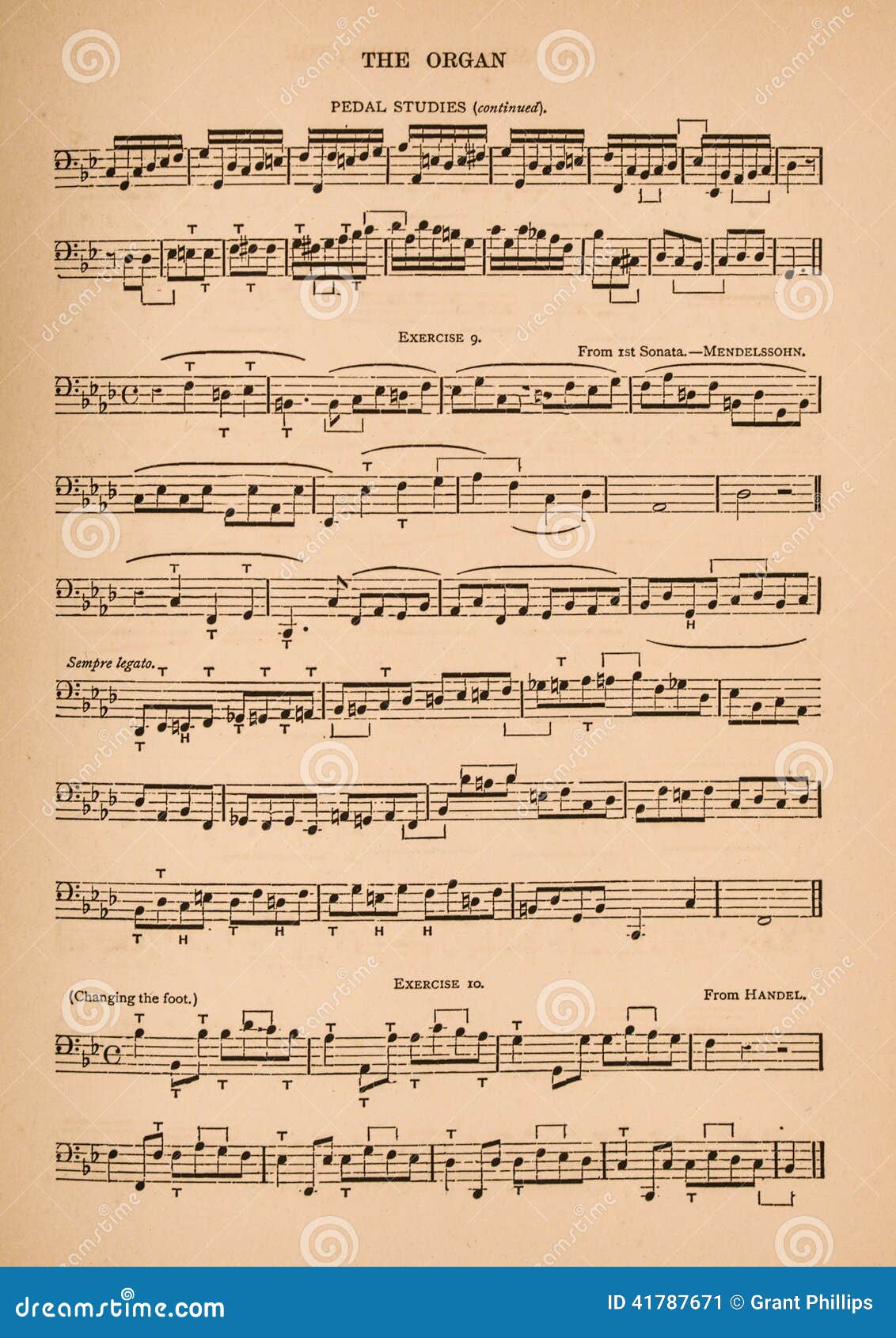 Sheet Music for Organ stock illustration. Illustration of paper - 41787671