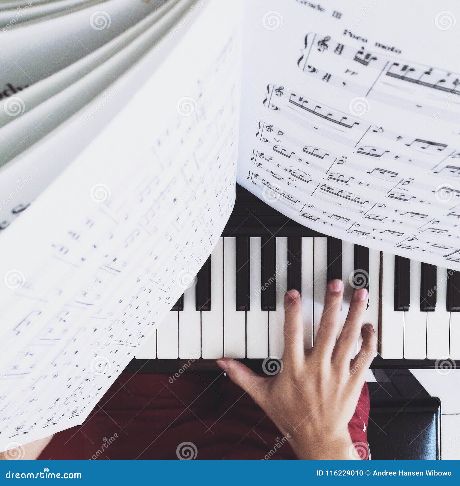 Person Practicing the Piano Stock Photo - Image of elise, dedication ...