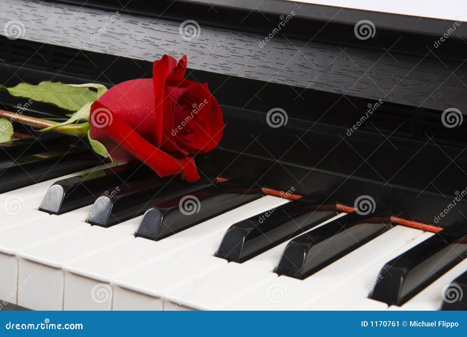 Sheet Music with Rose on Piano Stock Image - Image of note, ivory: 1170761