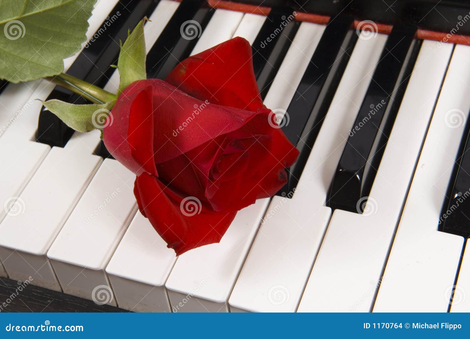 Sheet Music with Rose on Piano Stock Photo - Image of flowers, staff ...