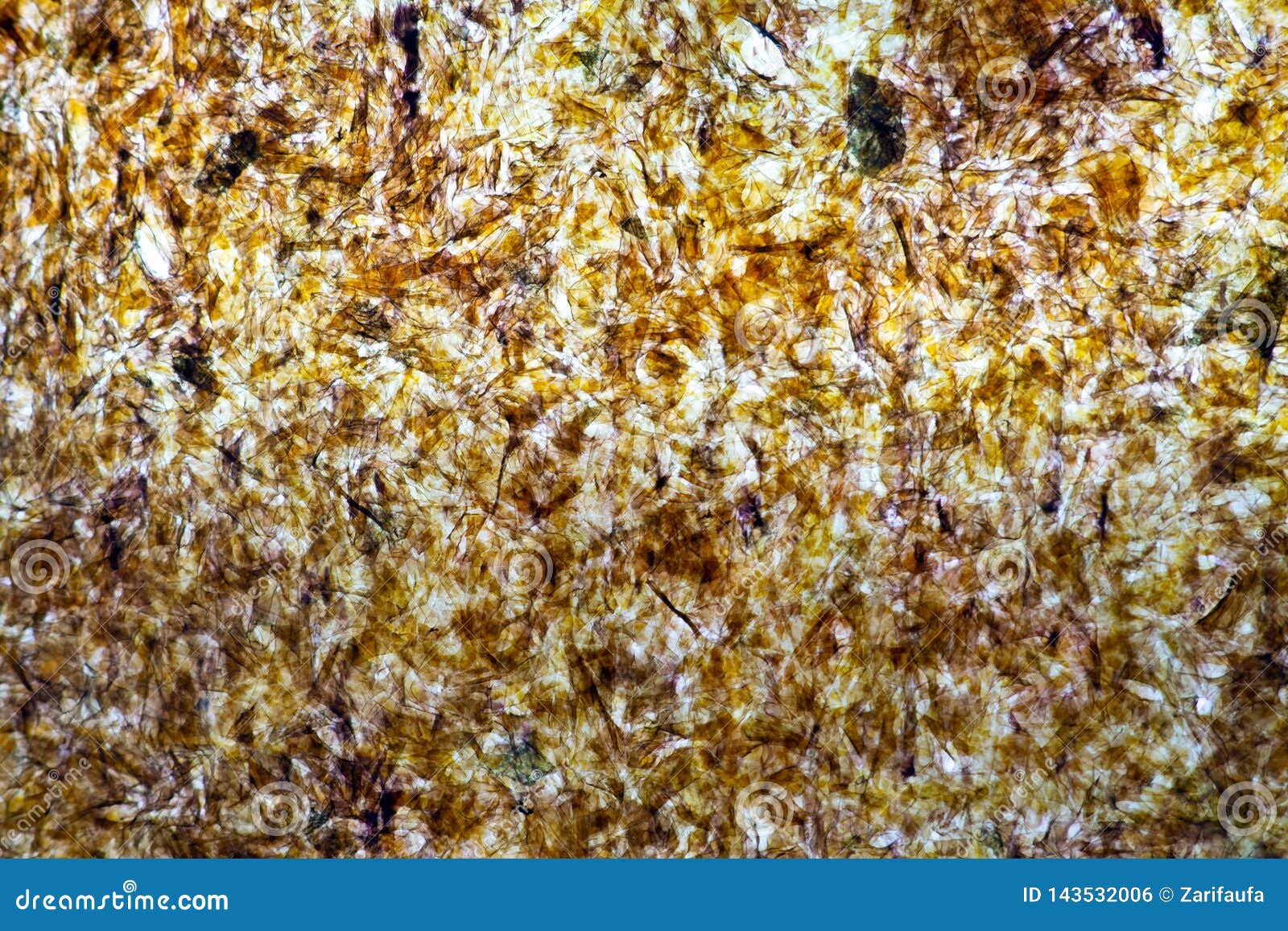 Sheet of Nori Seaweed, Abstract Textured Background Stock Photo - Image ...