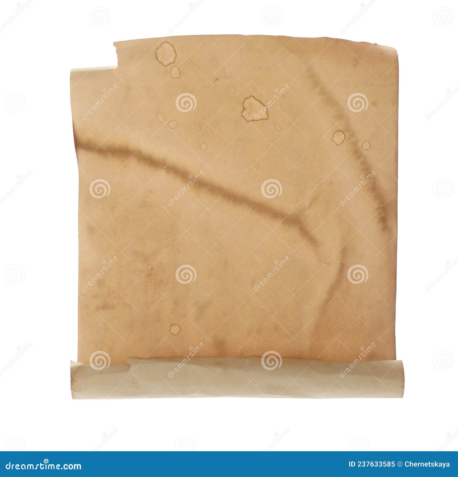 Sheet of Old Parchment Paper Isolated on White. Space for Design Stock ...