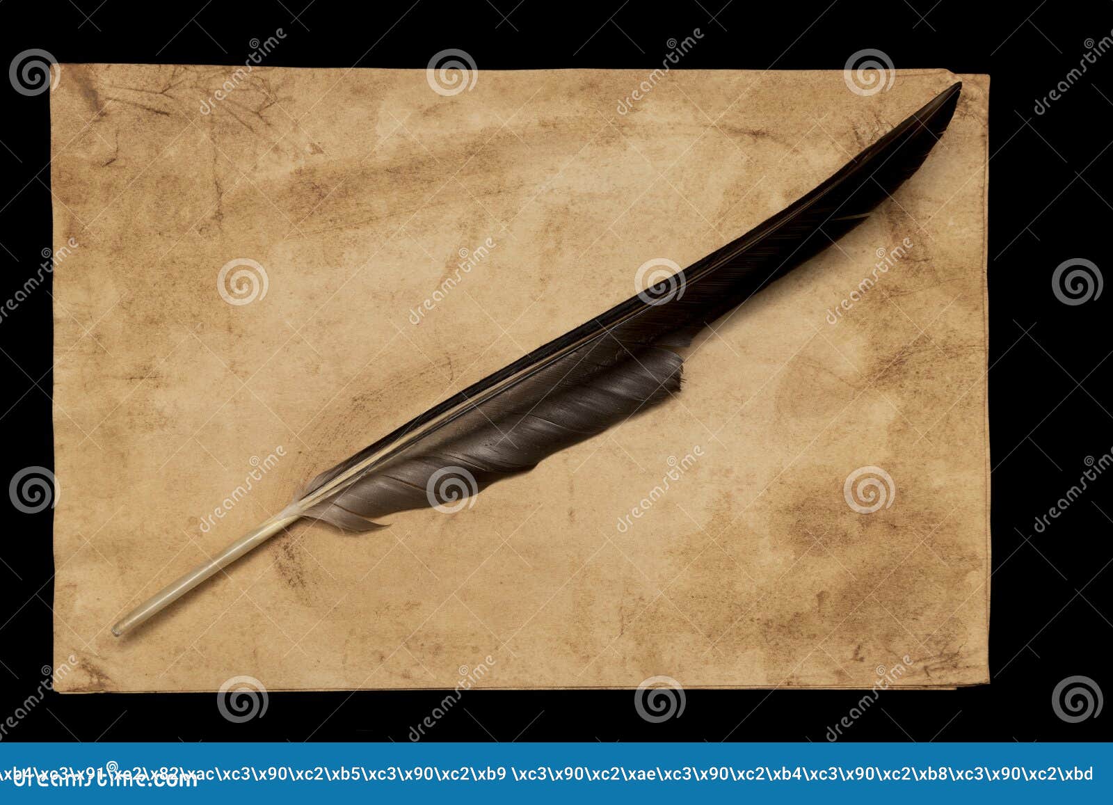 A Sheet of Paper and a Feather. Stock Image - Image of letter, black ...