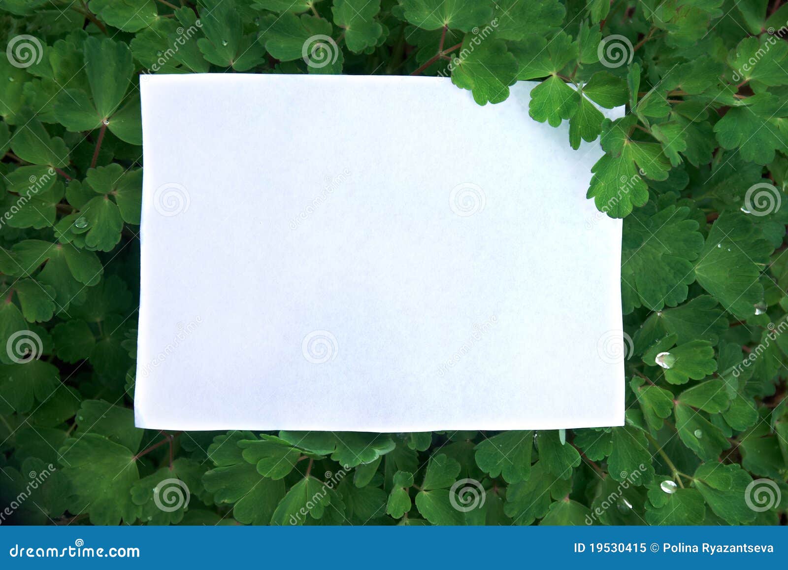 A Sheet of Paper on Green Leaves Background Stock Image - Image of ...
