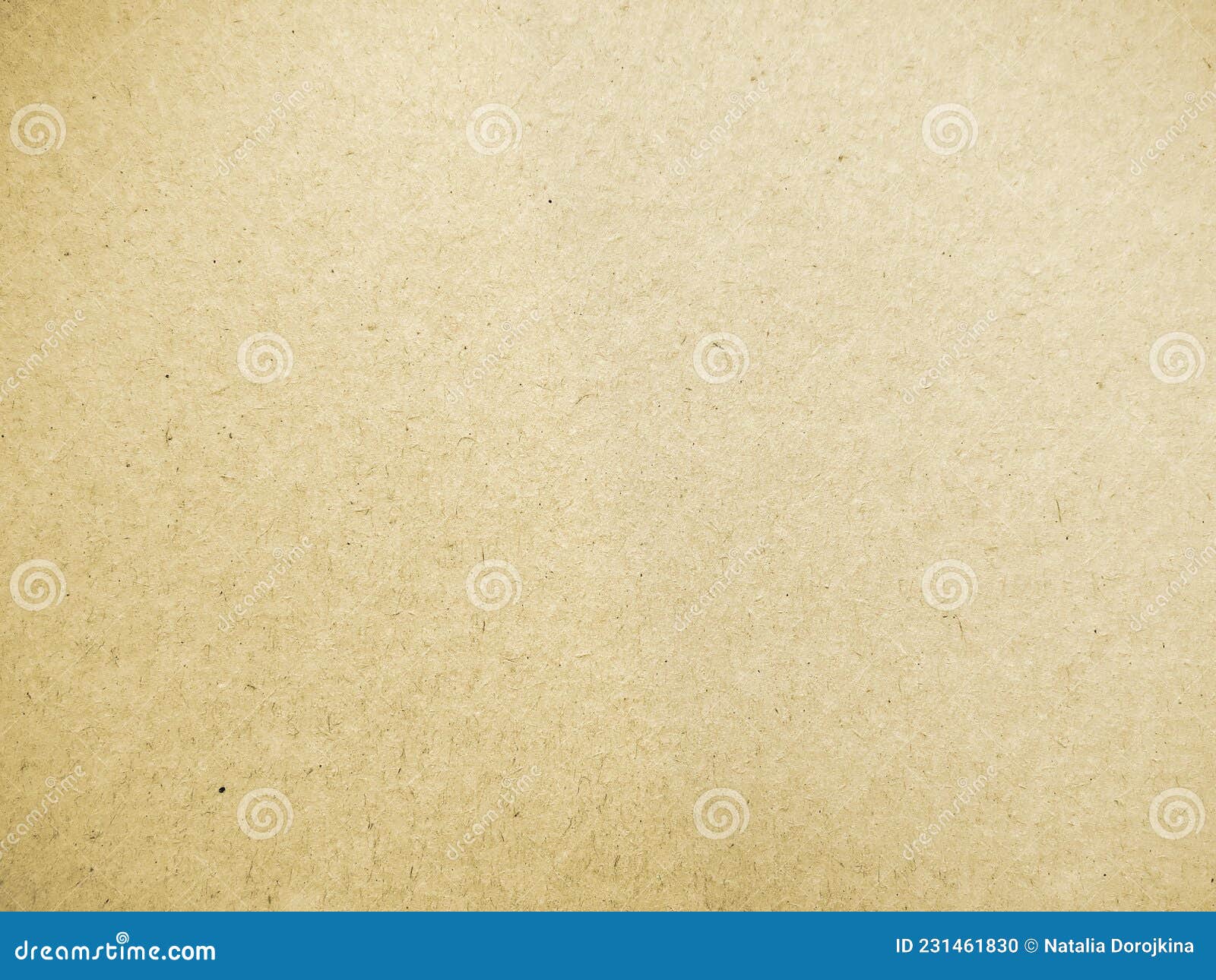 A Sheet of Parchment. Antique Yellow Paper Texture. Place for Text ...