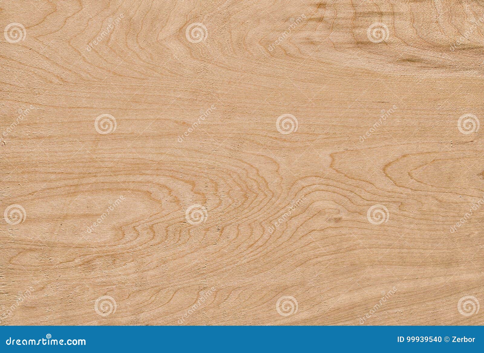 Sheet Plywood Made Lime Wood Stock Photos - Free & Royalty-Free Stock ...