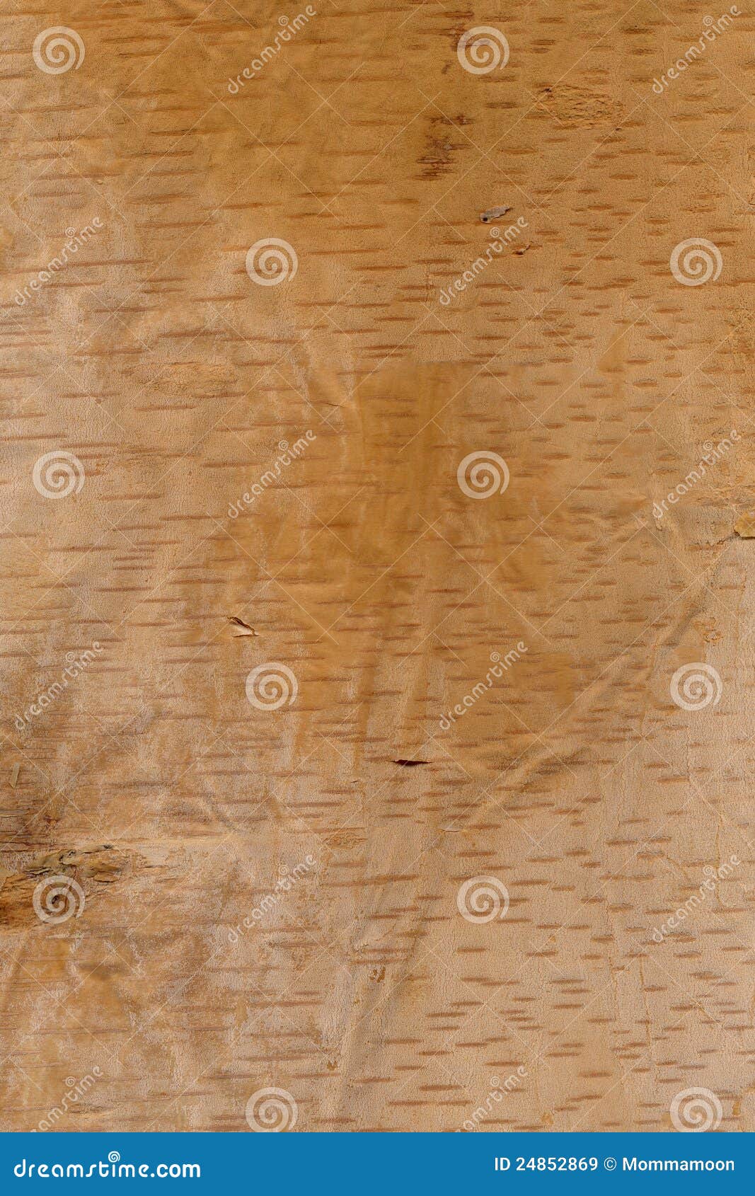 Sheet of Tree Bark stock image. Image of history, plant - 24852869