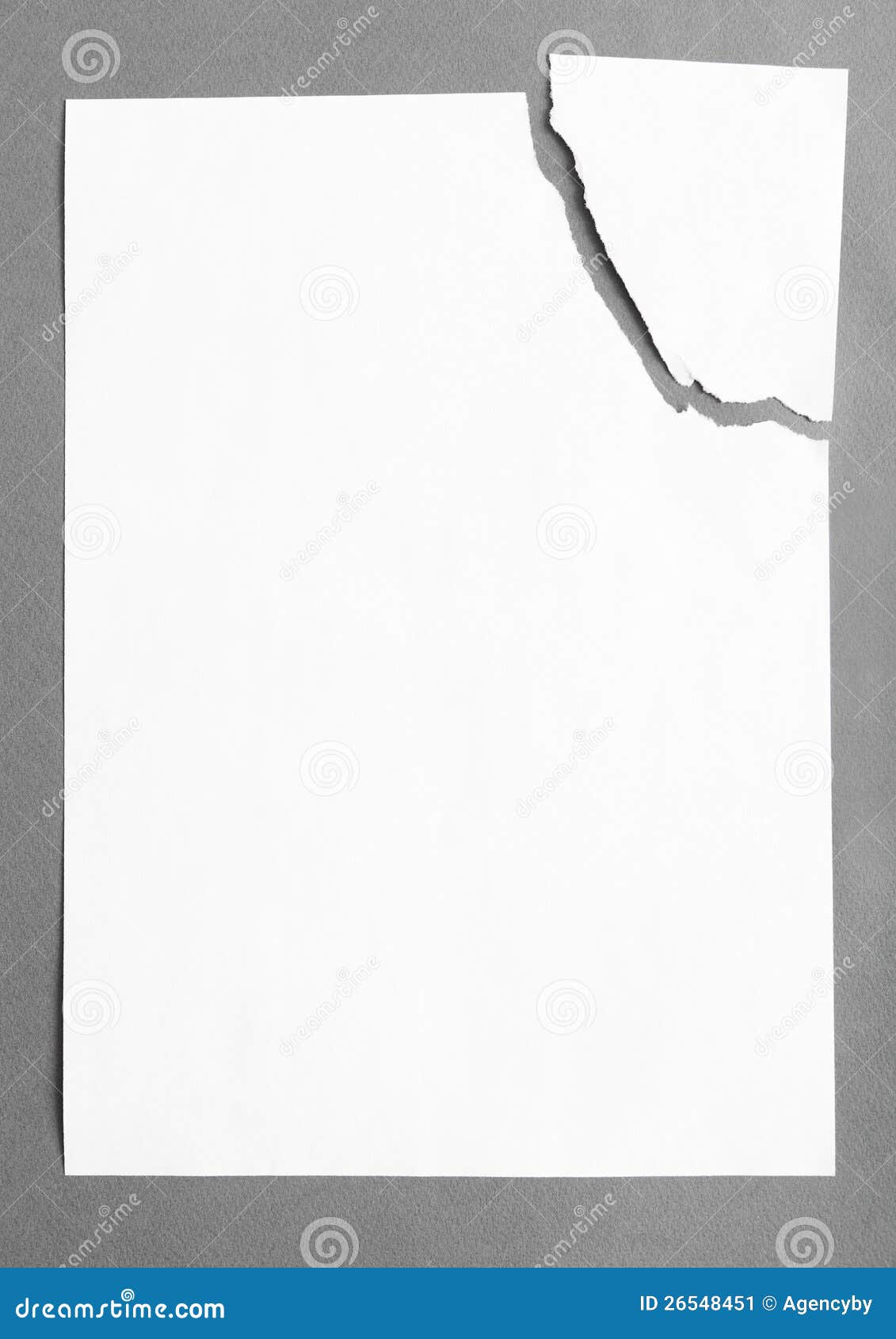 Sheet of White Paper Divided in Two Pieces Stock Image - Image of ...