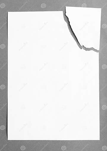 Sheet of White Paper Divided in Two Pieces Stock Image - Image of ...