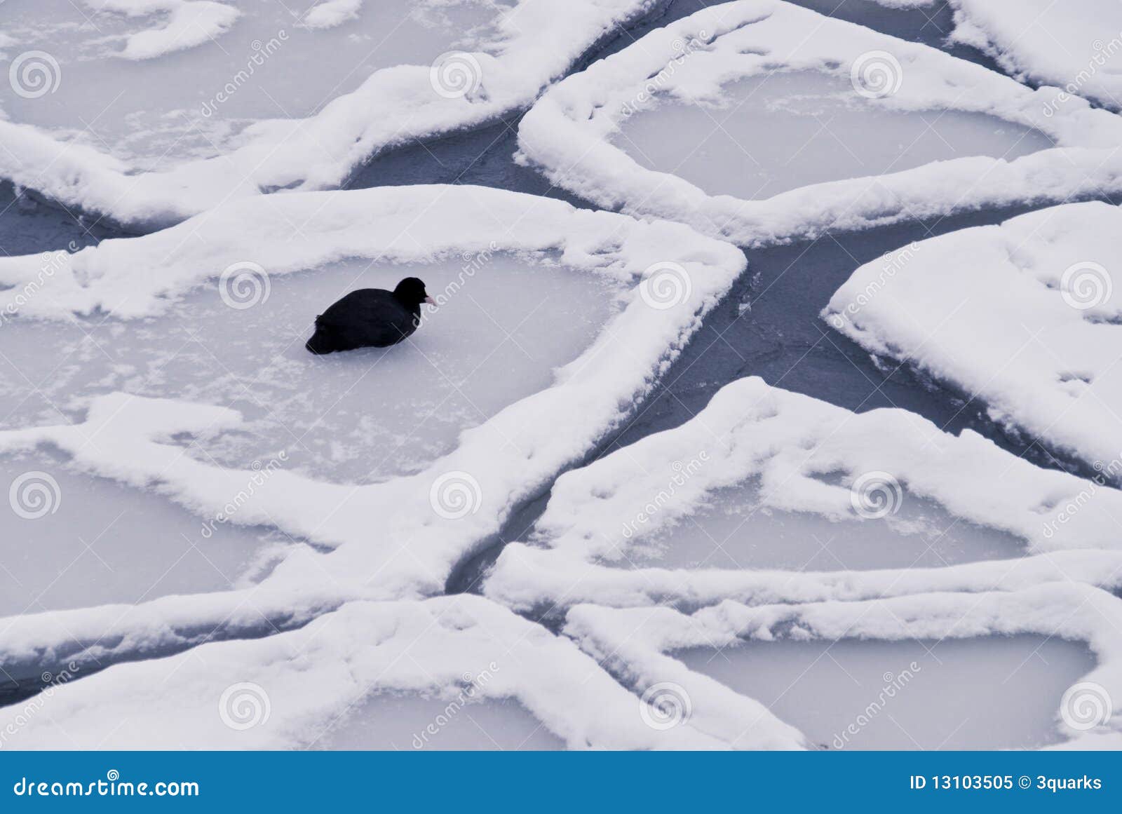 Sheets of ice stock image. Image of arctic, froze, white - 13103505