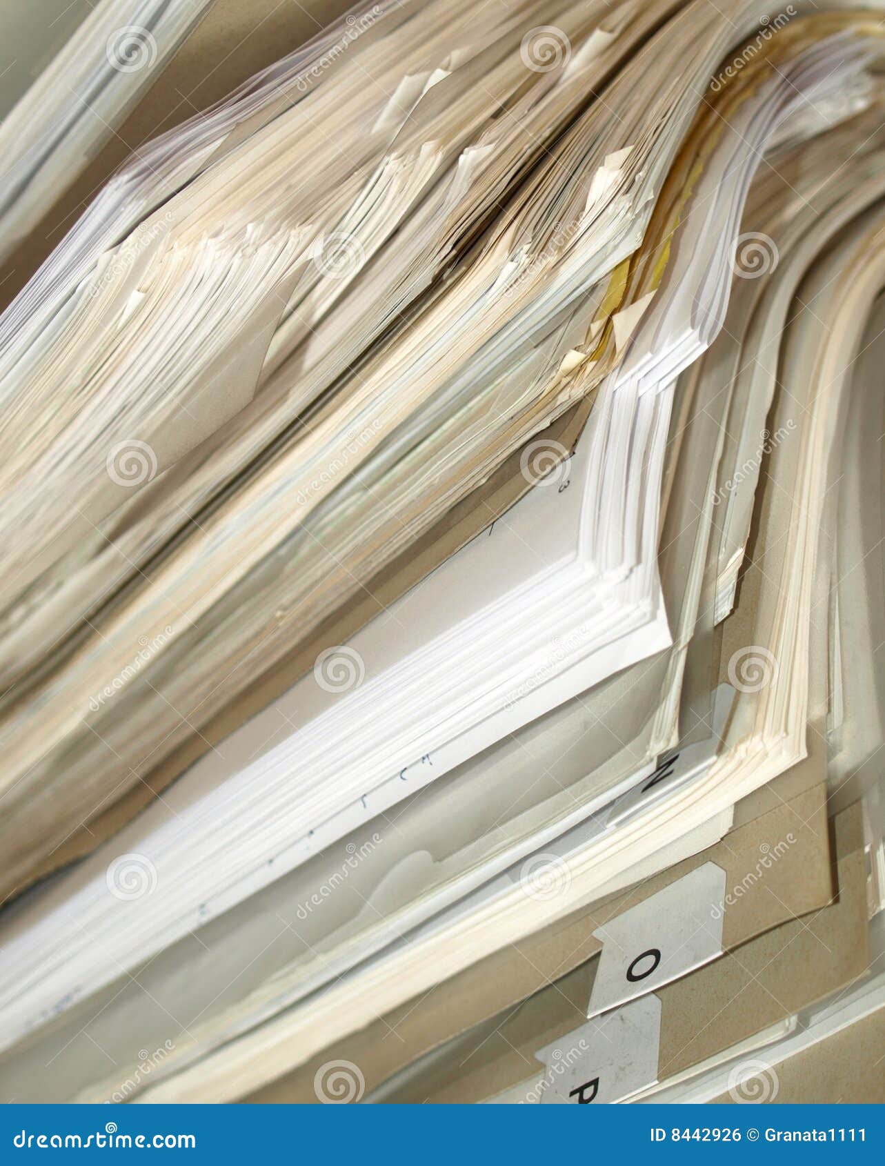 Sheets in office folders stock photo. Image of learn, document - 8442926
