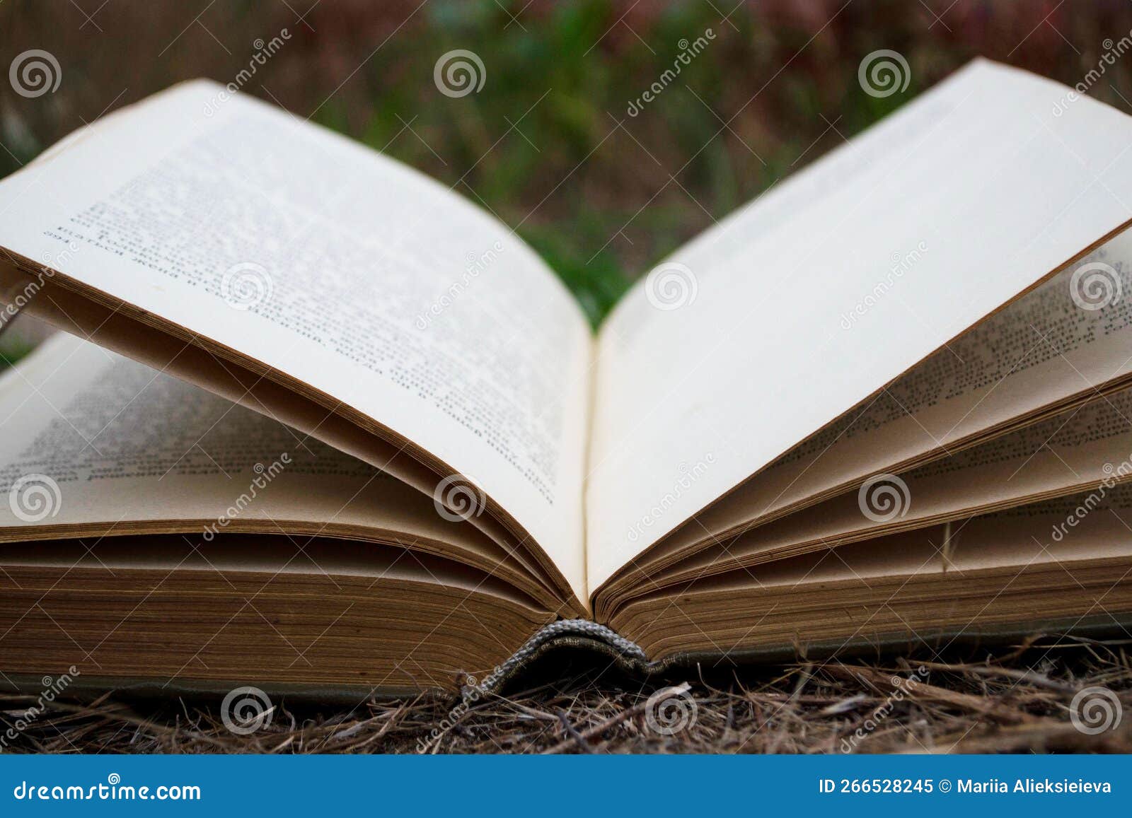 Sheets of an Open Book Close-up, an Open Book on Nature, Reading a Book ...