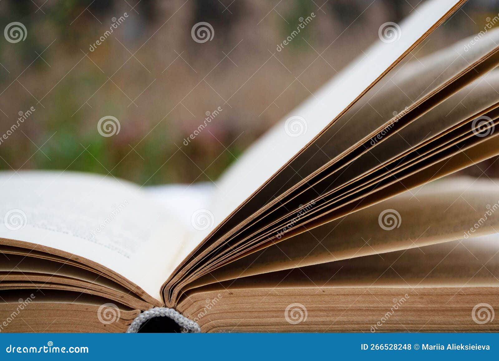 Sheets of an Open Book Close-up, an Open Book on Nature, Reading a Book ...