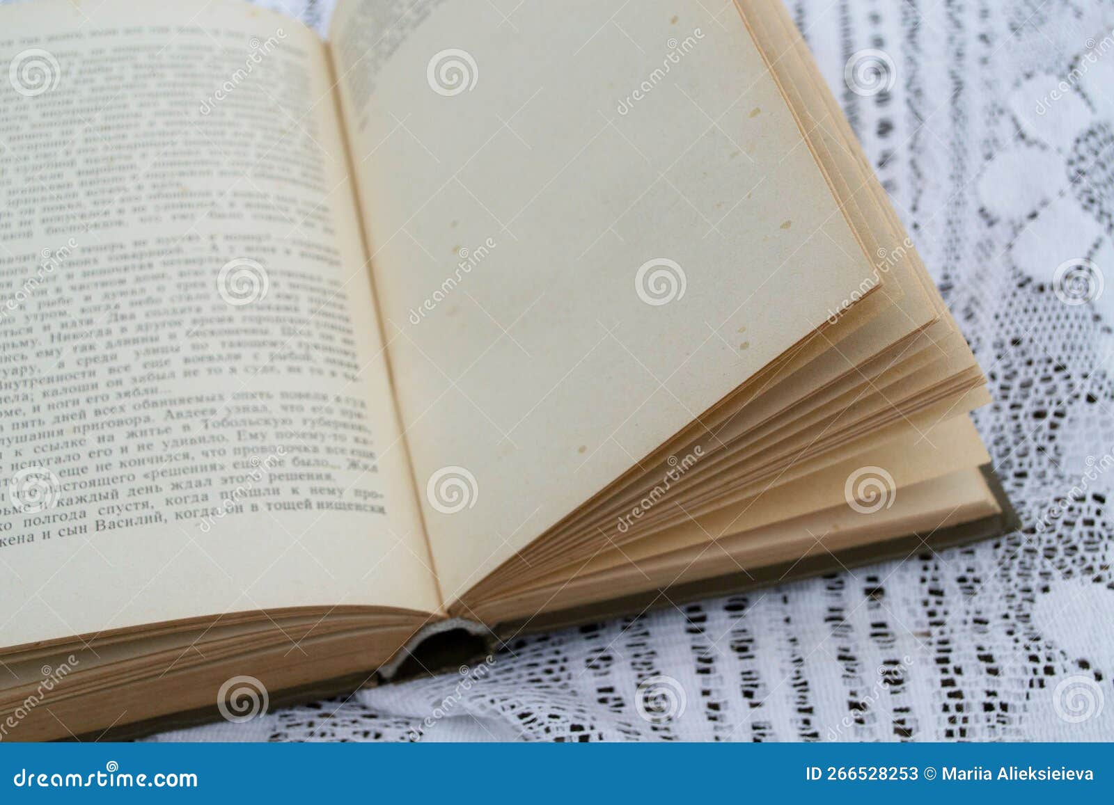 Sheets of an Open Book Close-up, an Open Book on Nature, Reading a Book ...