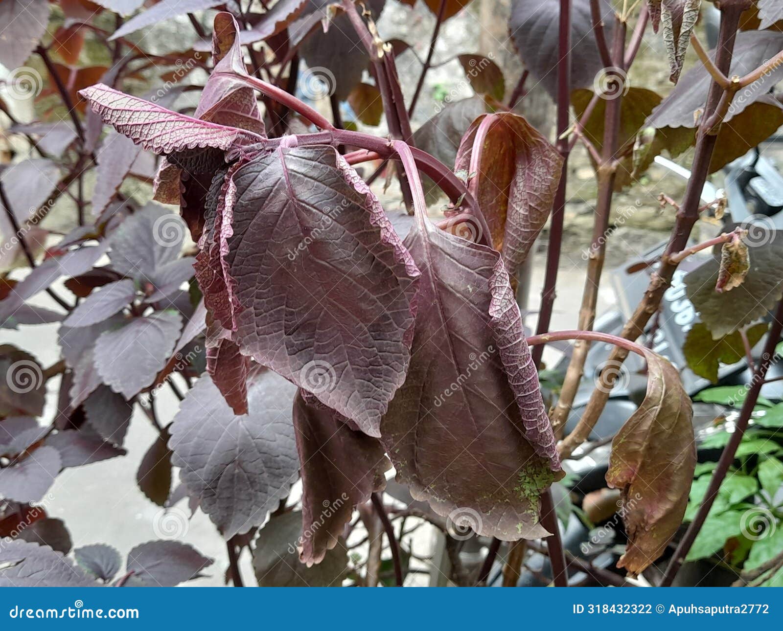 Edge Of A Wall In White Plaster Stock Image | CartoonDealer.com #96208531