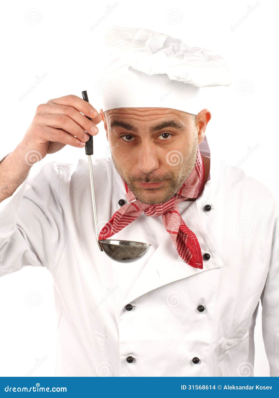 Sheff stock photo. Image of cooking, skill, uniform, cuisine - 31568614